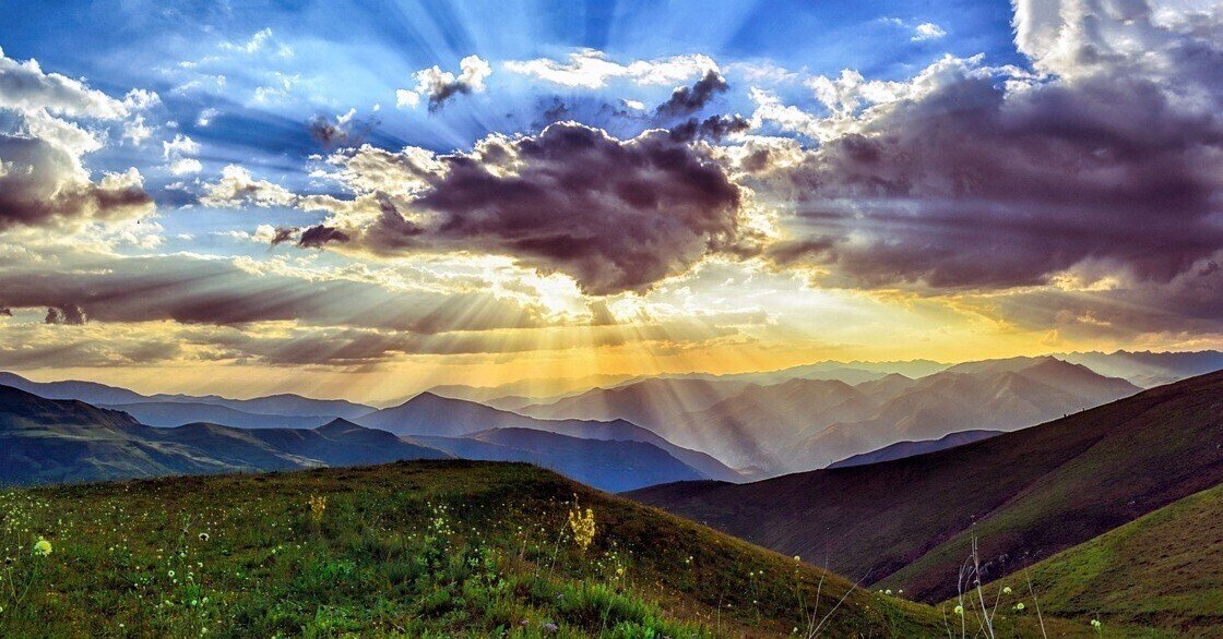 SHEEA（シーア）｜note