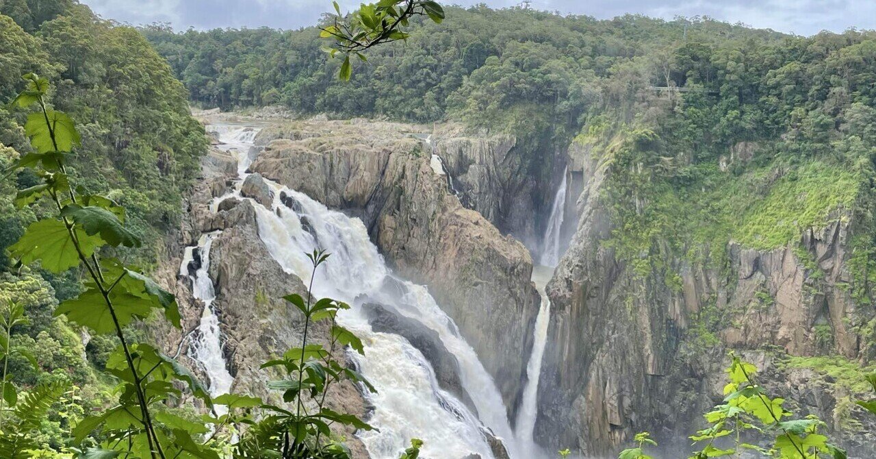 [My Happy Journey:D] Cairns, Australia Day 3(Part 1)｜Mandu Man
