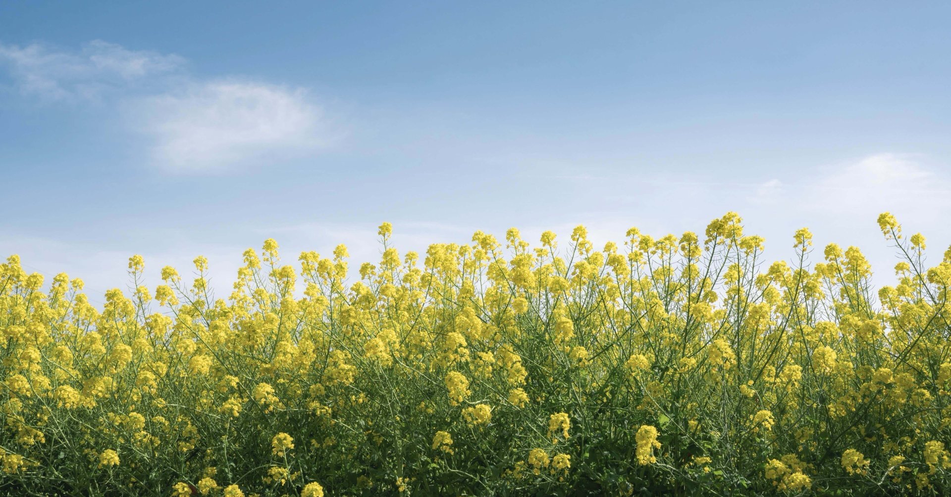 Ryo（りょう）｜note