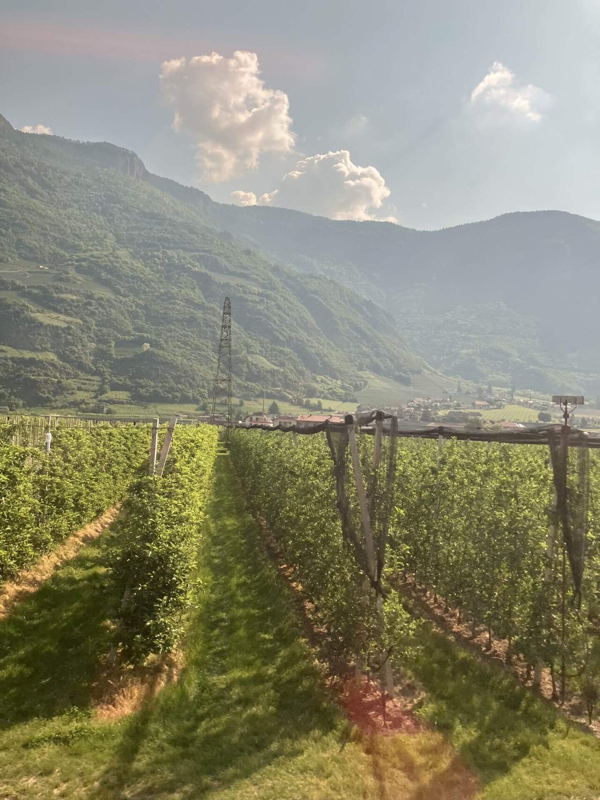 メラーノへ｜Ryutaro Hino