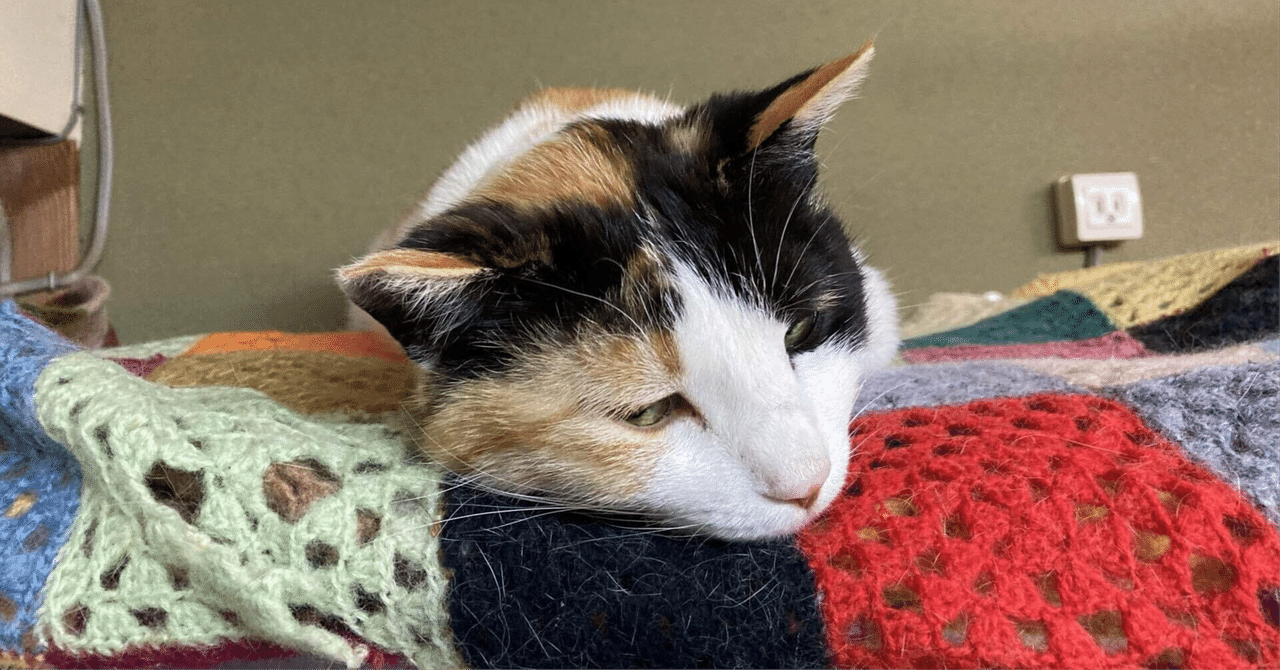 とにかく私の大好きな特撮ソング&アニメソングご紹介vol.22～ダイの付くアニメ3連発～｜Moosan