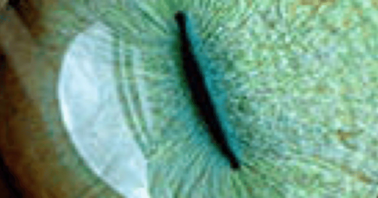 我、詩を編む｜ichi_saku