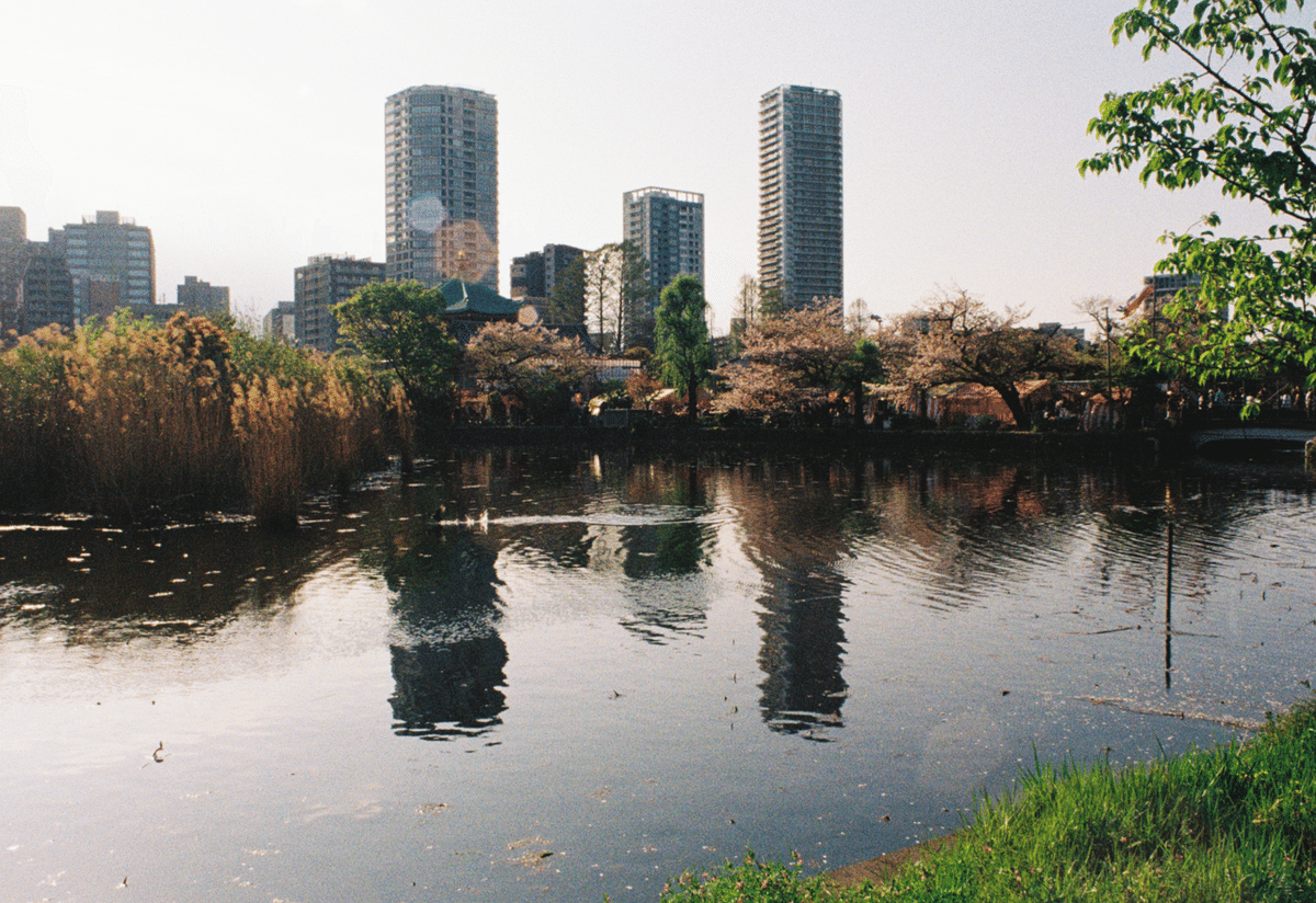 OLYMPUS PEN FTとの付き合い方 【作例あり】｜Genki Mishima