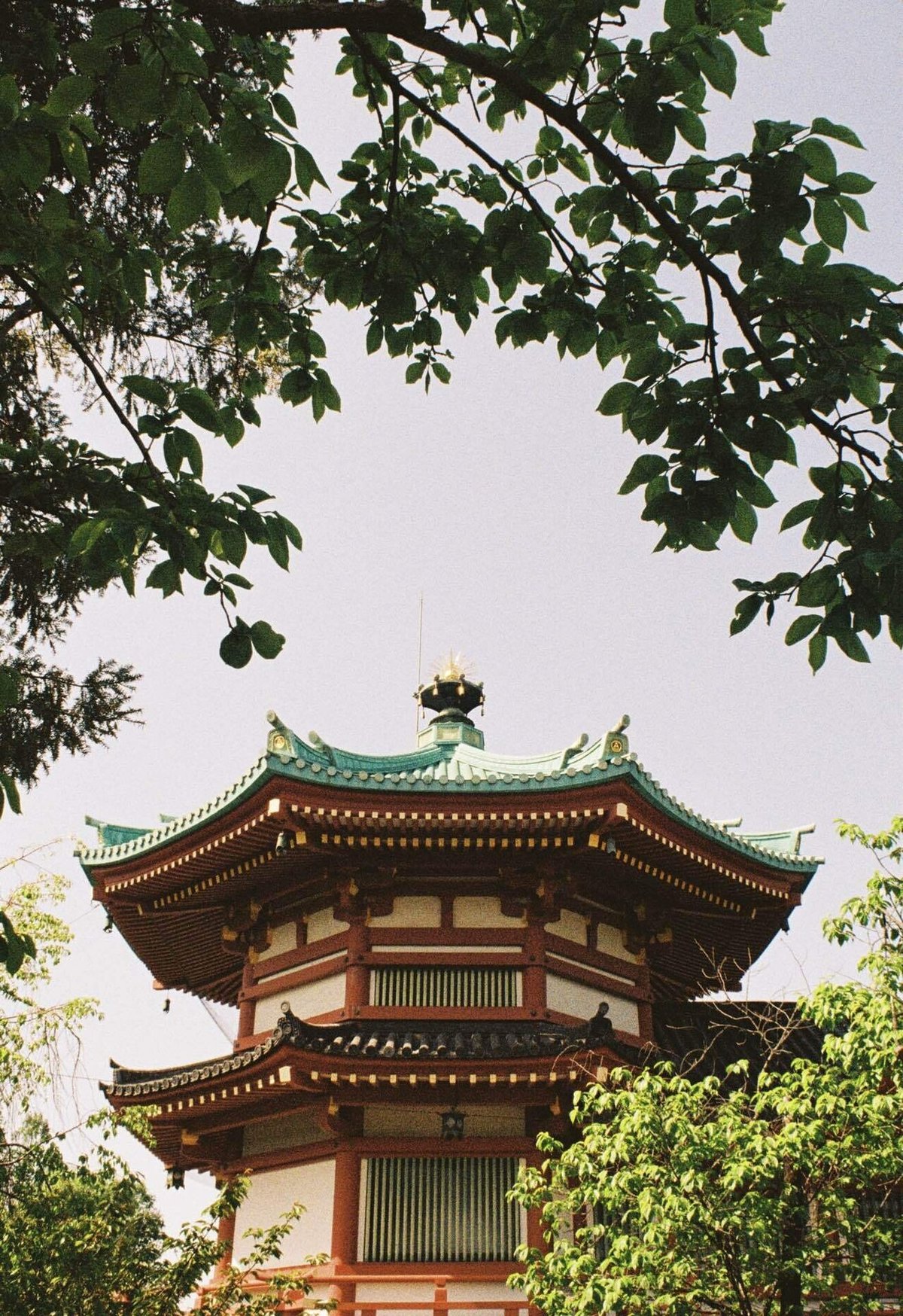 OLYMPUS PEN FTとの付き合い方｜Genki Mishima