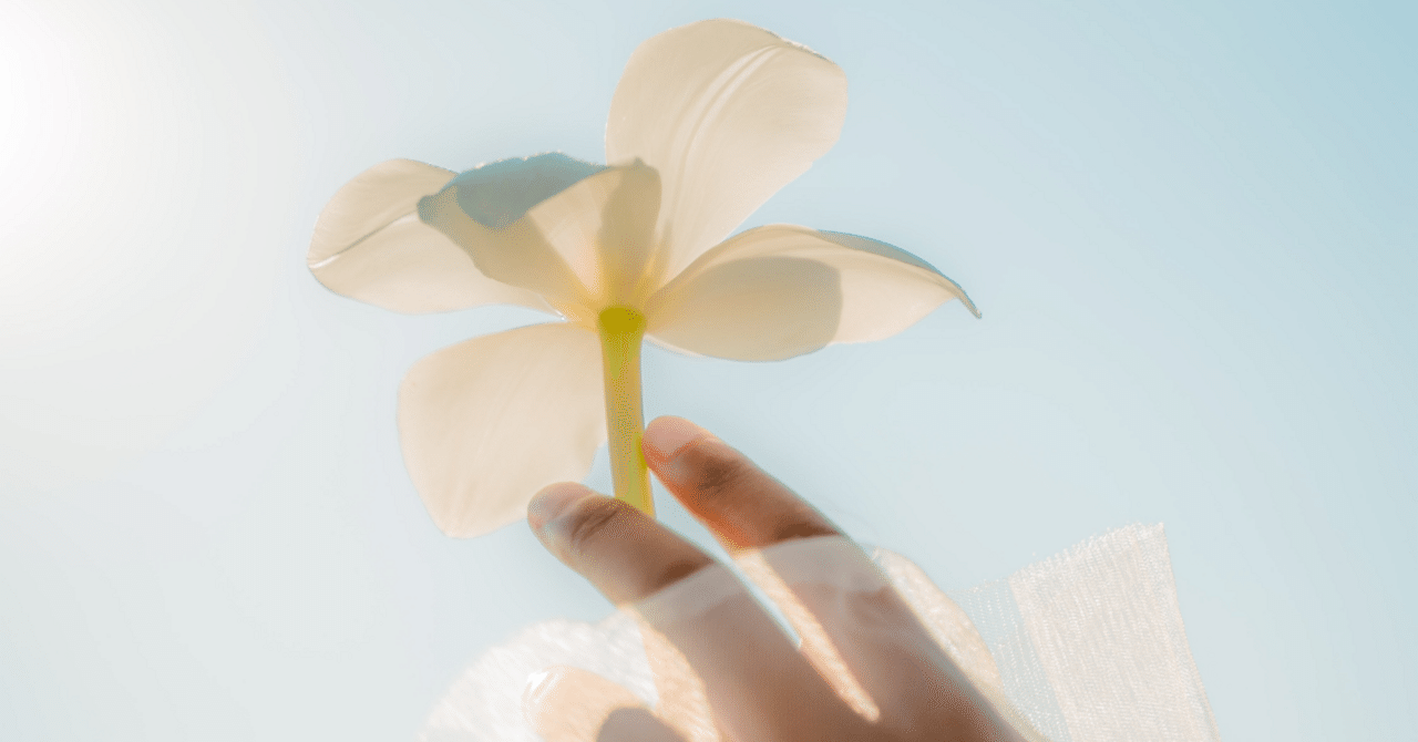 私が自分を好きになるために頑張ってきたこと｜Chii