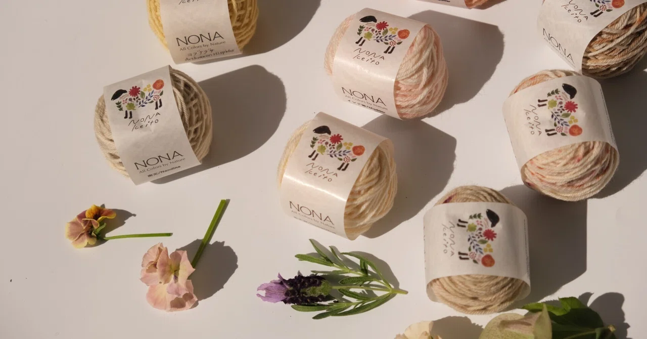 5月16日-6月15日｜NONA POP-UP｜恵文社 | 本にまつわるあれこれのお店