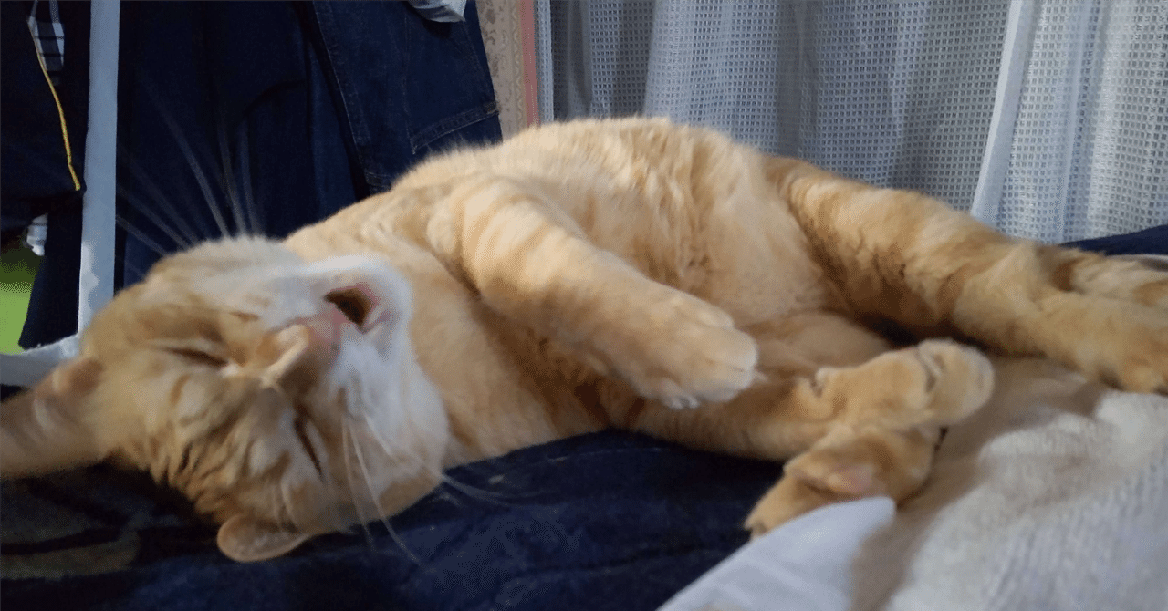 スワン聴いたやつ(4)｜Swanman