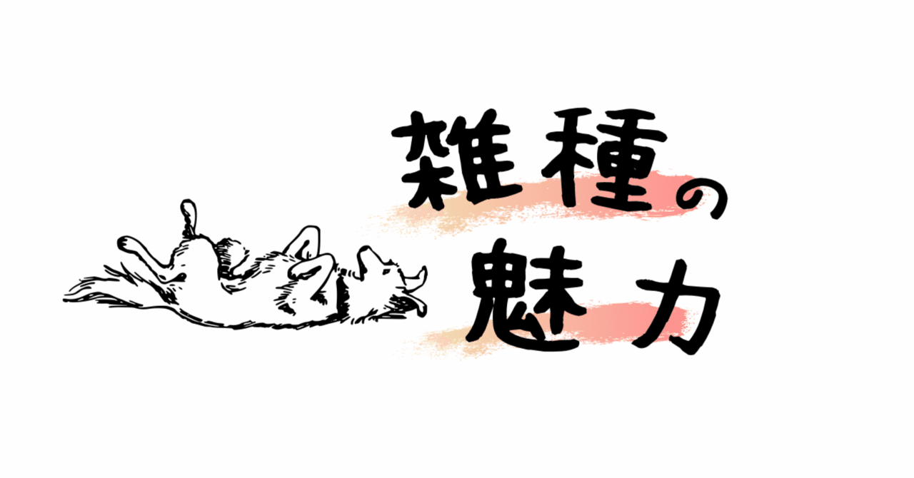 成犬雑種も愛おしさ満点！｜ZASSHU NOTE☆⡱tomomi