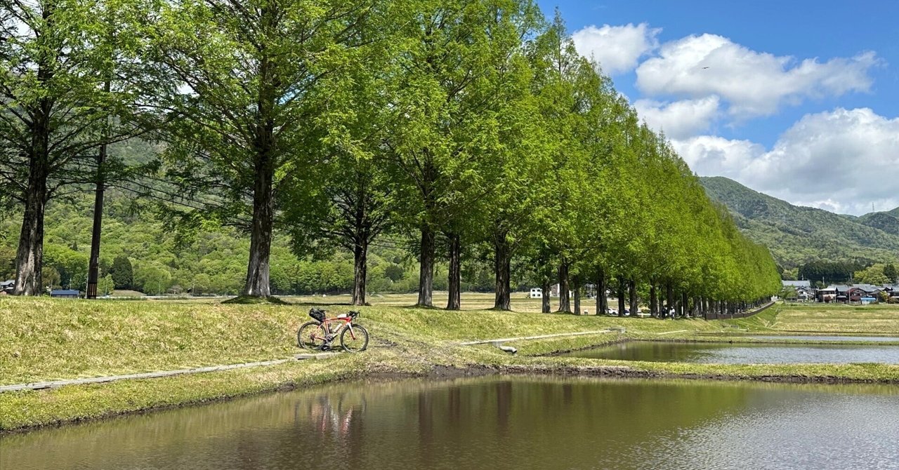 新緑のメタセコイア並木を見たくて琵琶湖半周サイクリング｜Dr. Kano