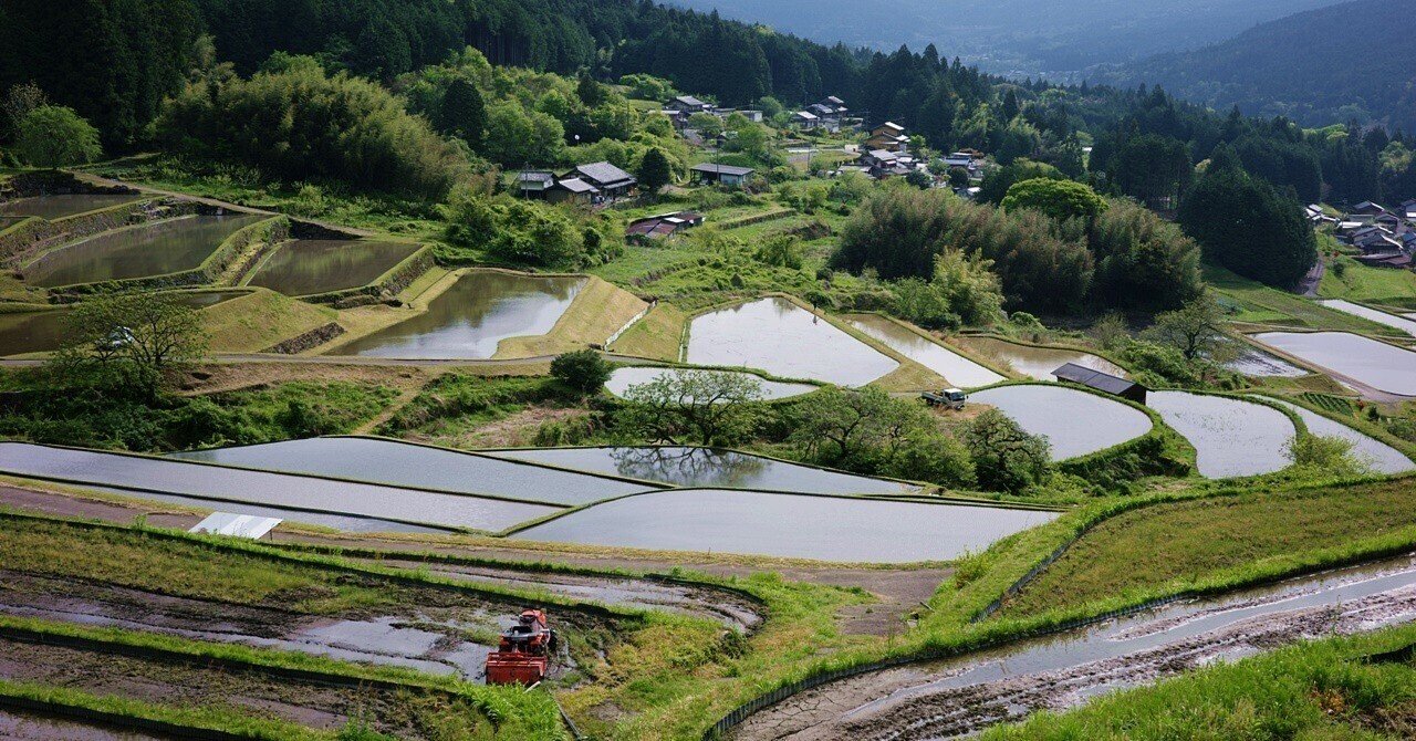 弟と走る｜michi-to-sora 道と空