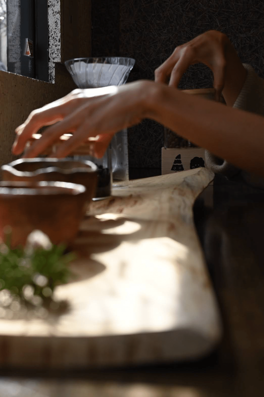 写真家 加藤史大による西川林業地の撮影｜木の旅 kinotabi