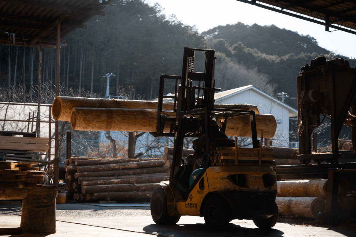 写真家 加藤史大による西川林業地の撮影｜木の旅 kinotabi