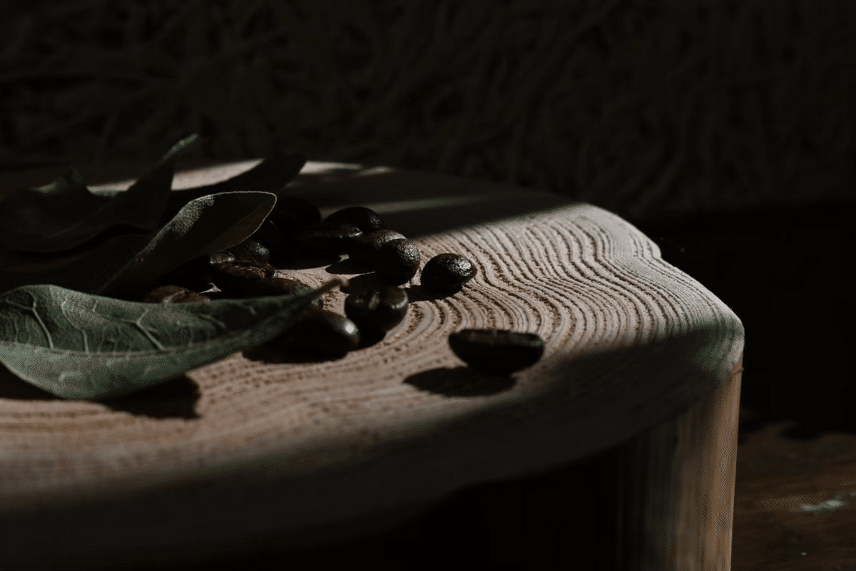 写真家 加藤史大による西川林業地の撮影｜木の旅 kinotabi