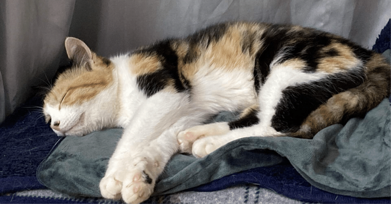 何事も初めの一歩は上手くいかないもので…｜Moosan