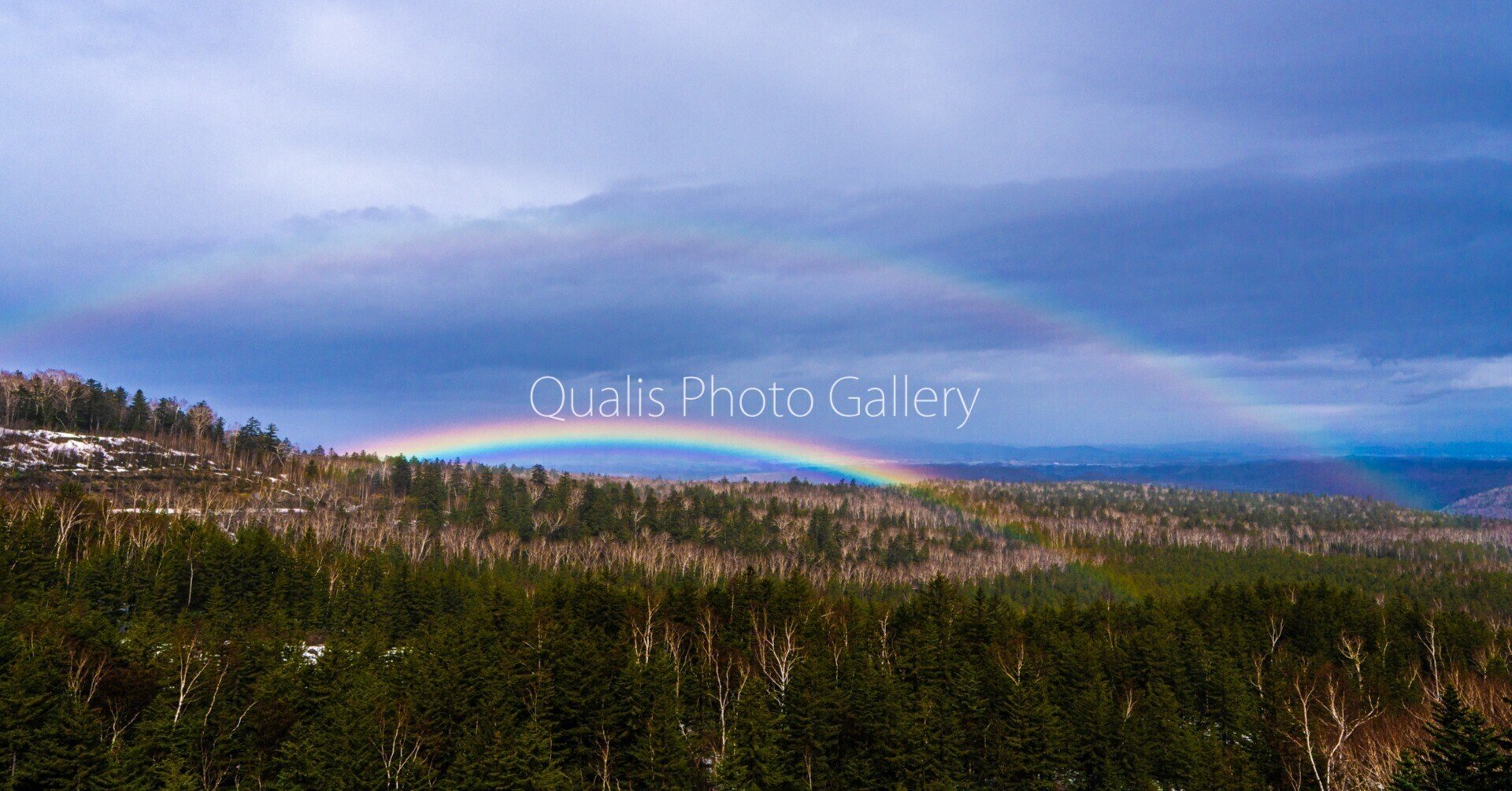 浜田 元史 Hamada. Motofumi｜note