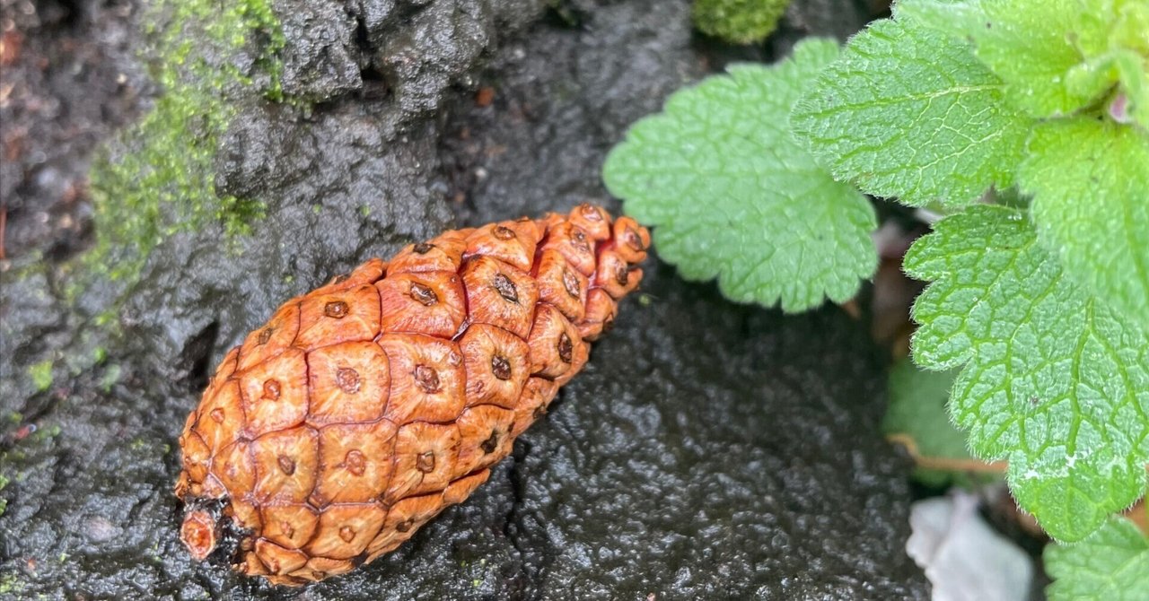 〜なぜ、美養室SOILをはじめたのか？②〜｜ISOのTAKUYA