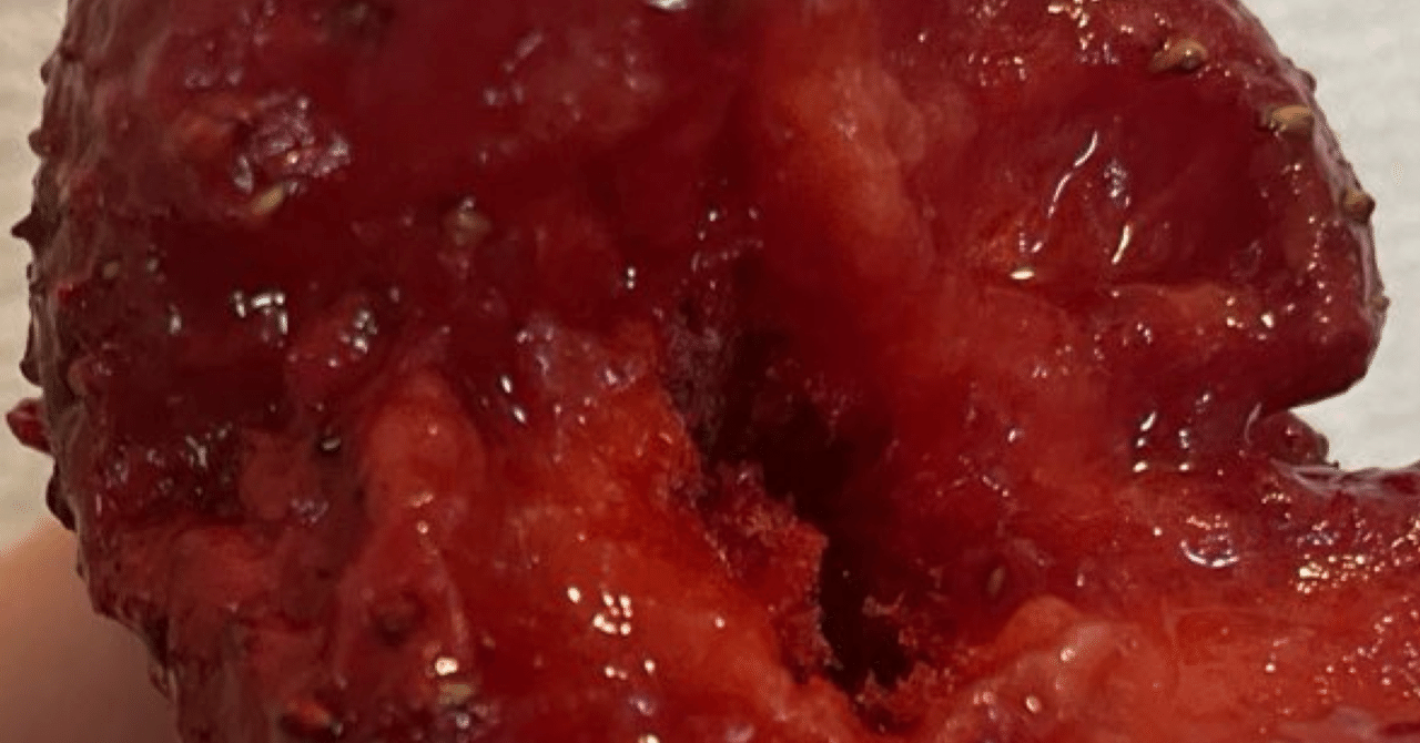 和田彩花さんのバンドLOLOETの初来札イベント『Bravi!』を開催します｜terui akane