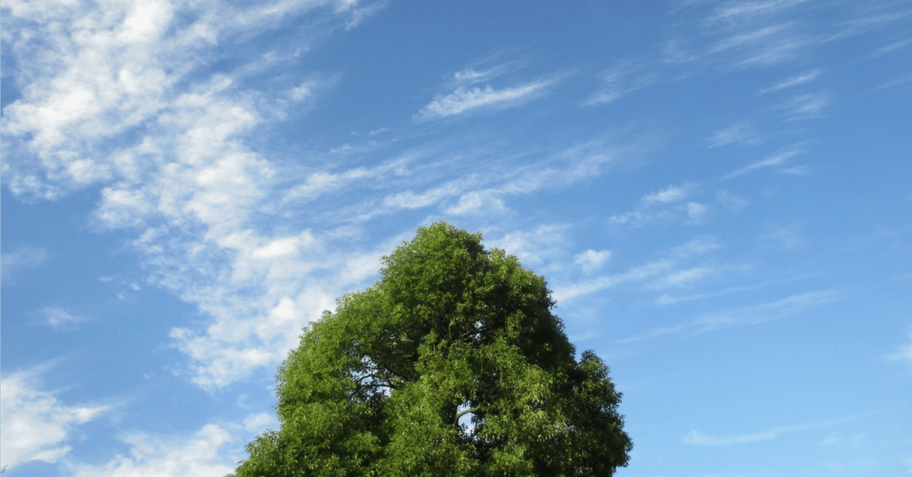 自己紹介 学歴、資格なし、ただの凡人daigoの初めてのnote｜daigo