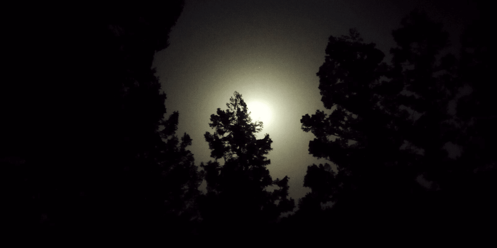 setsuo kobayashi｜note