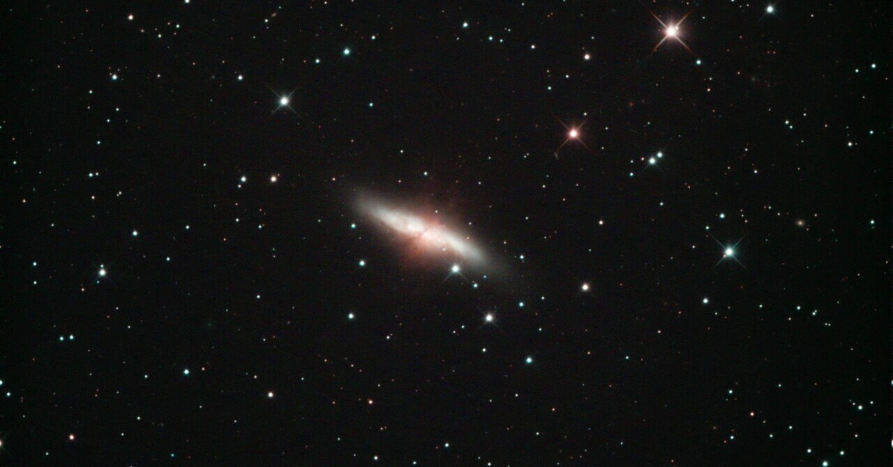 2025/05/05（月）｜nora_moomoo