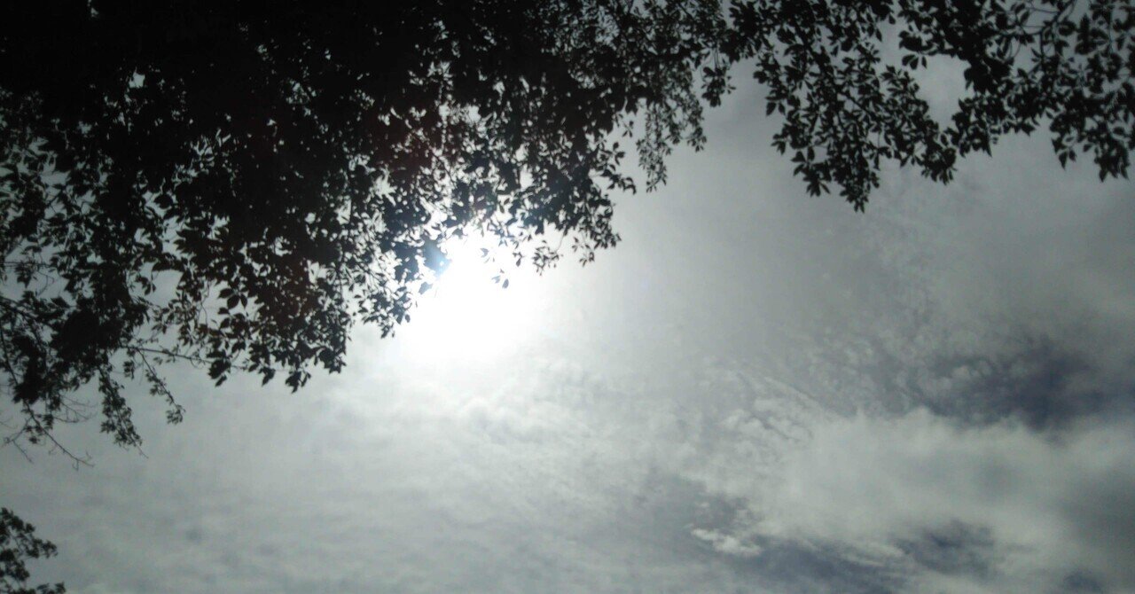 2025/05/04（日）｜nora_moomoo