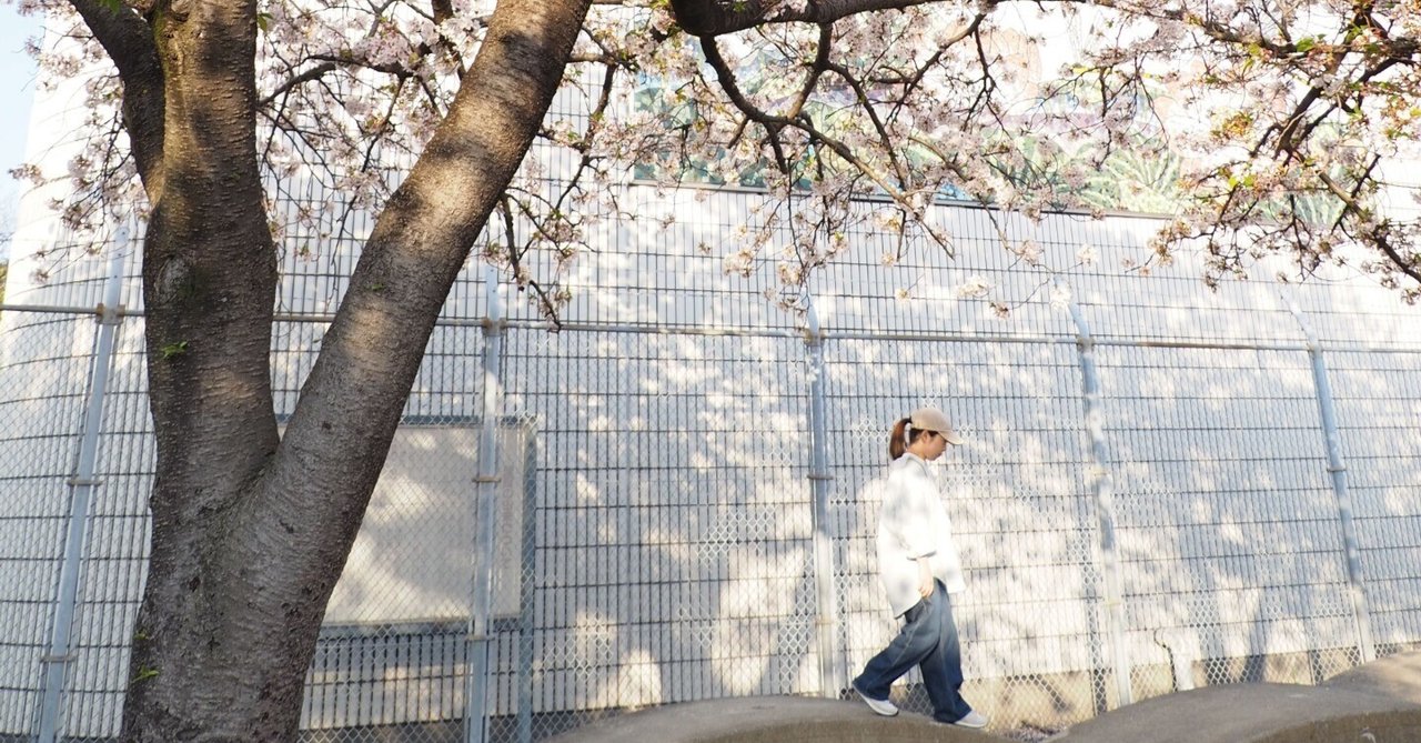 はじめの一歩🐾自分を発信する練習、始めます｜Sakura Watanabe