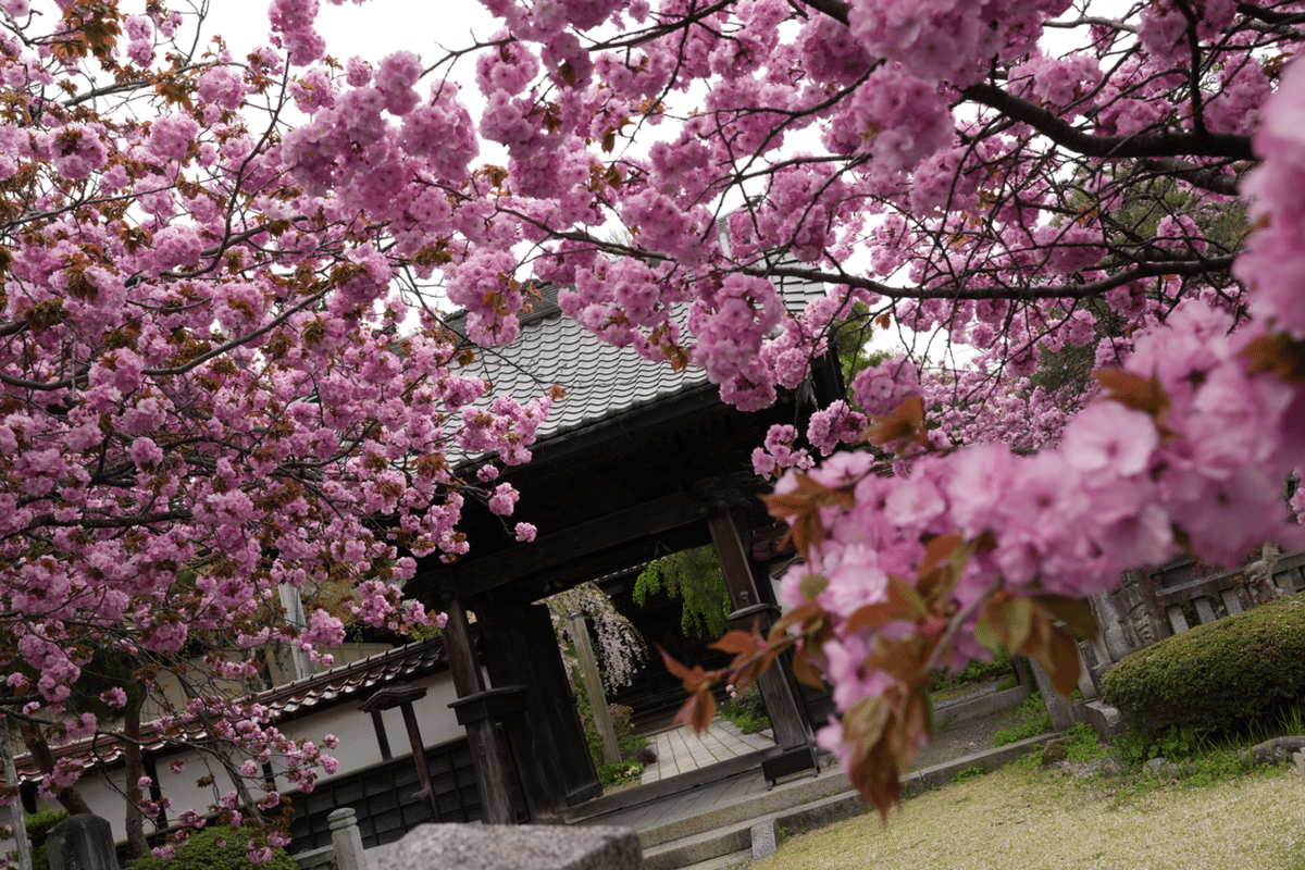 北へ行く、最終日- 八幡平と岩手銀行赤レンガ館｜Azuki Smith