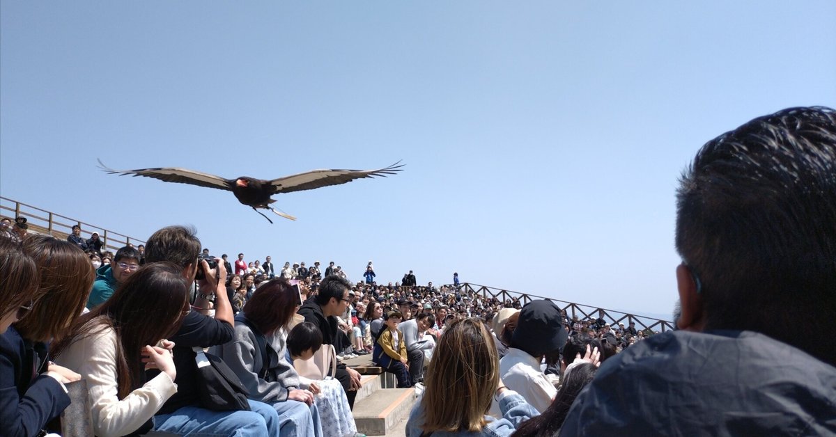 【旅行記】磐梯山と那須塩原 '25GWの旅③那須どうぶつ王国がスゴい！｜TRIP_YUKO｜お出かけジャンキー