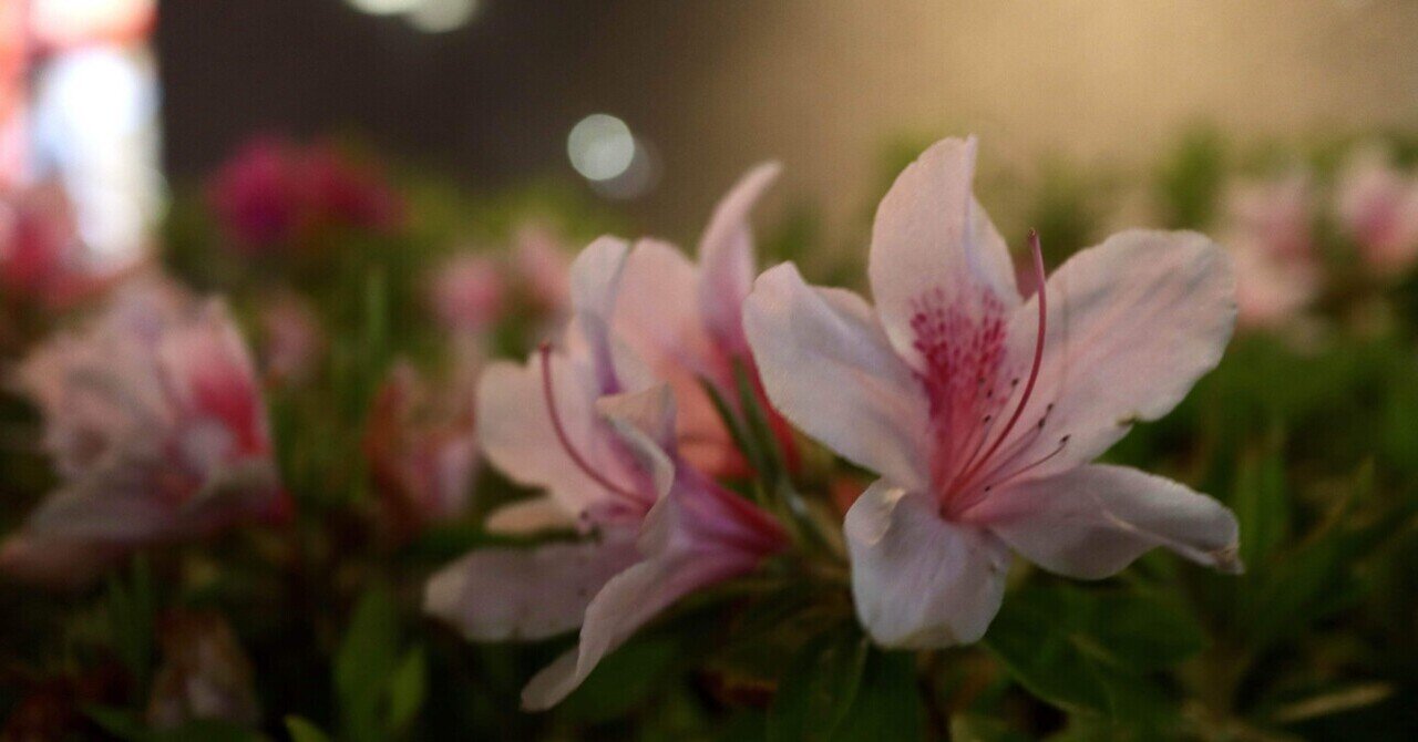 離人感、疲労感、焦り…言葉にならないモヤモヤに呼吸からアプローチする｜SVAHA YOGA