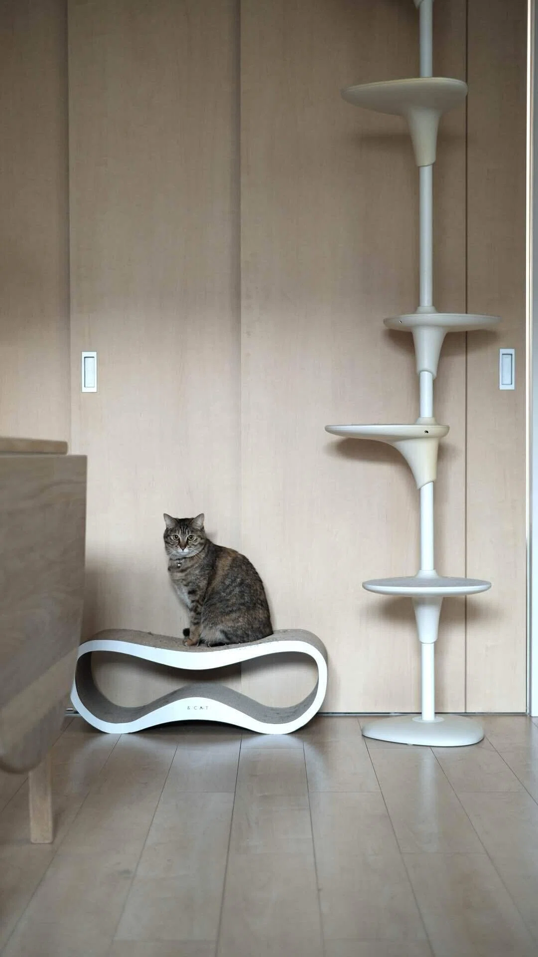 猫と人、心地よく暮らすために。-家具選びのリアルと、我が家の工夫。-｜pomu