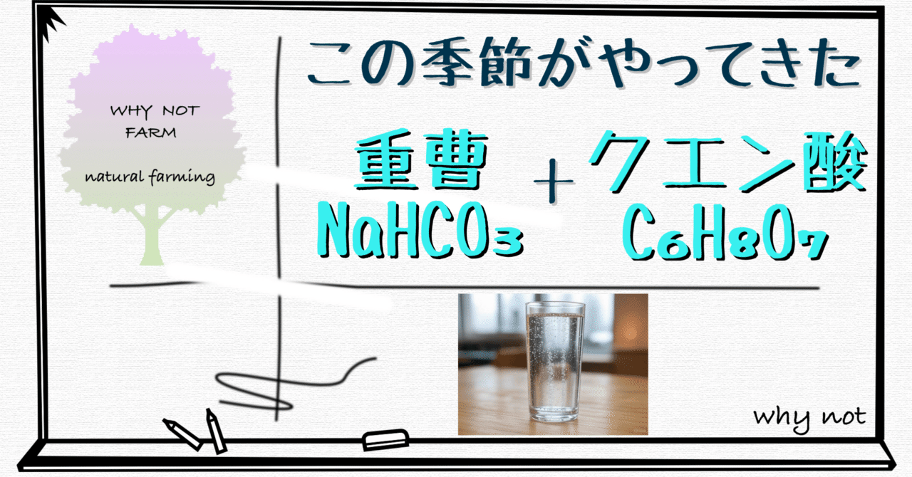 重曹 NaHCO3 + クエン酸 C6H8O7 は身体にいい？｜why_not_mvp