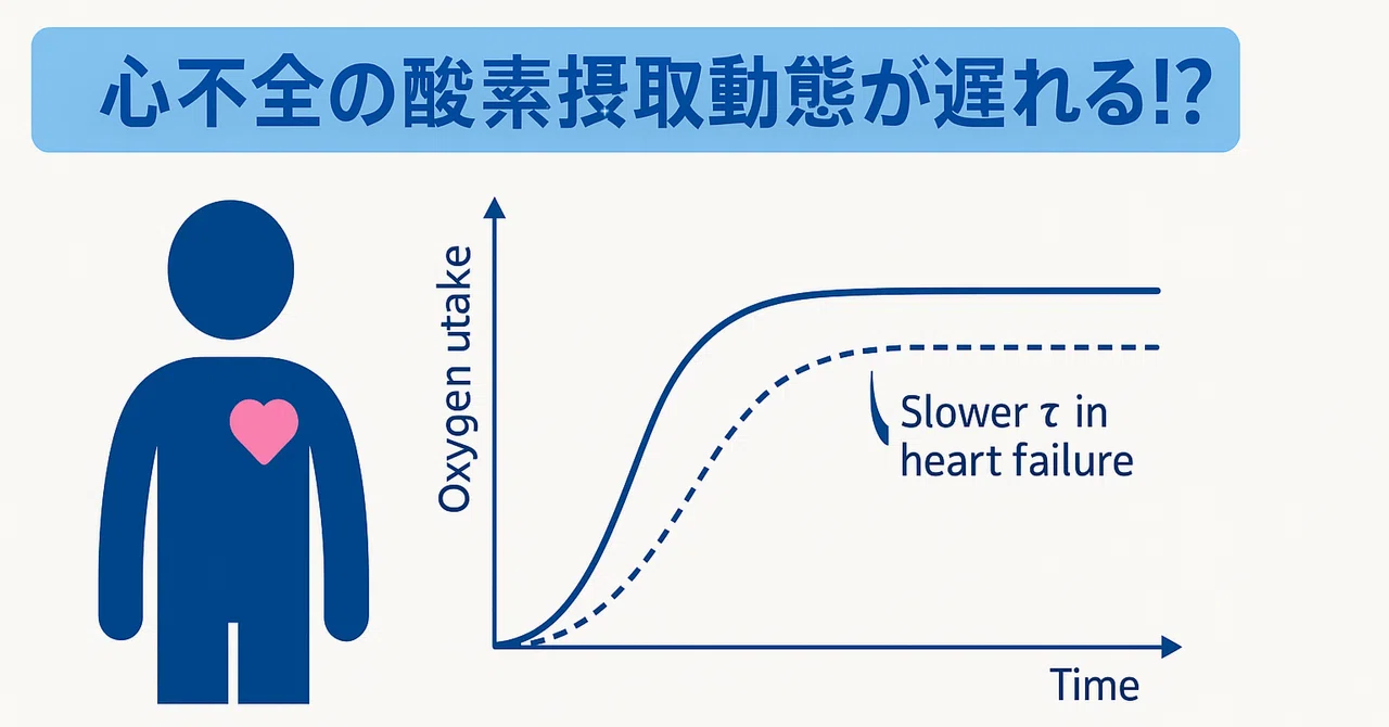 臨床5年目までに押さえておきたい「運動耐容能の低下、その原因は酸素摂取動態の遅延かも？」｜Hitoshi & KZFM
