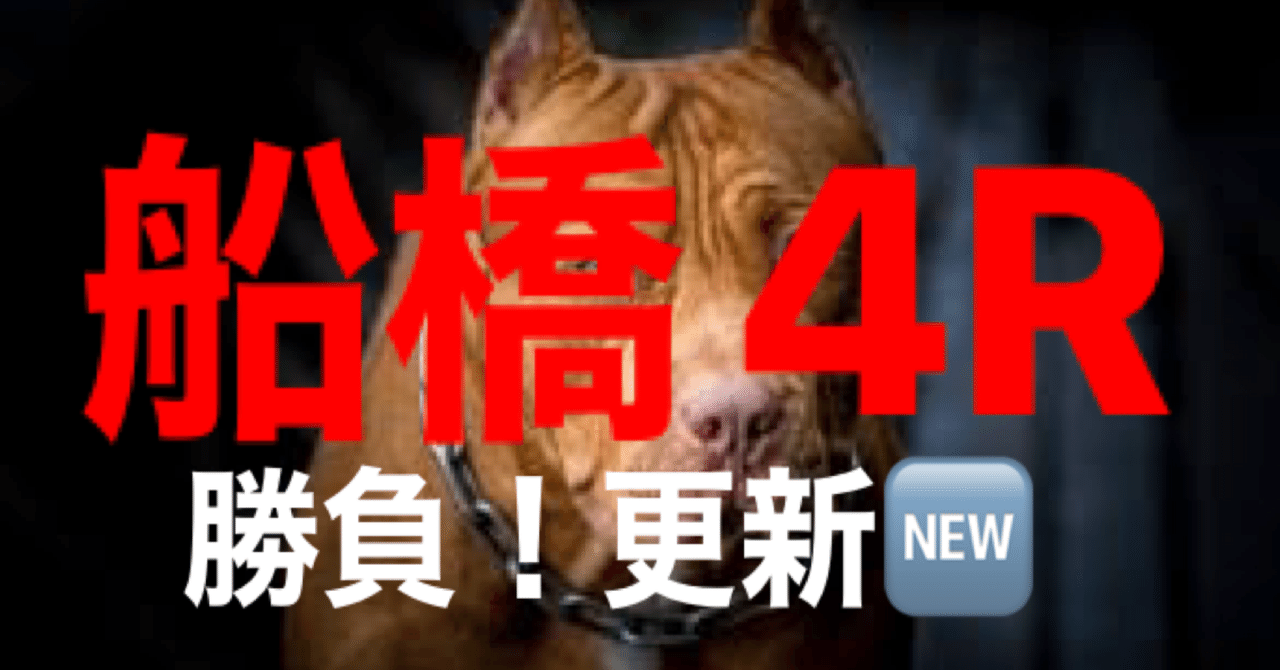 船橋4R勝負！更新🆕｜パドック師匠【PD master】公式🌐