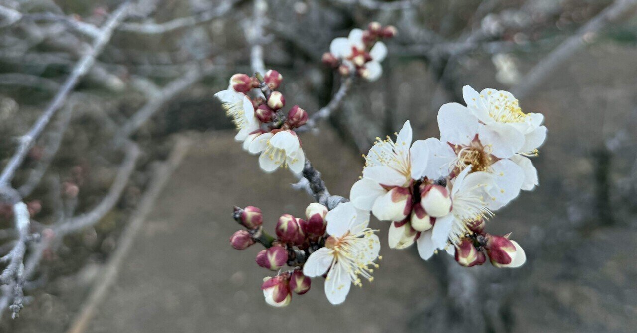 今の君の悩みは、未来の君への種まき｜feel_hiroki