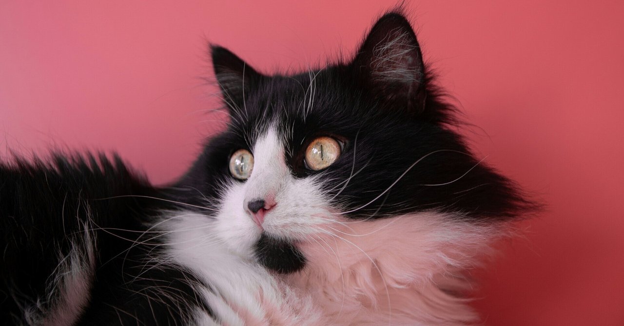 たった1秒で1時間の文字起こし！？NVIDIA Parakeetが示すASRの未来｜Tak@ | IT Explore