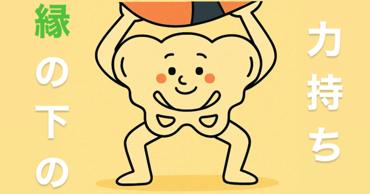 腰・姿勢・呼吸にも関係？“骨盤底筋”という見えない支え】｜新 裕真/Atarashi Yuma