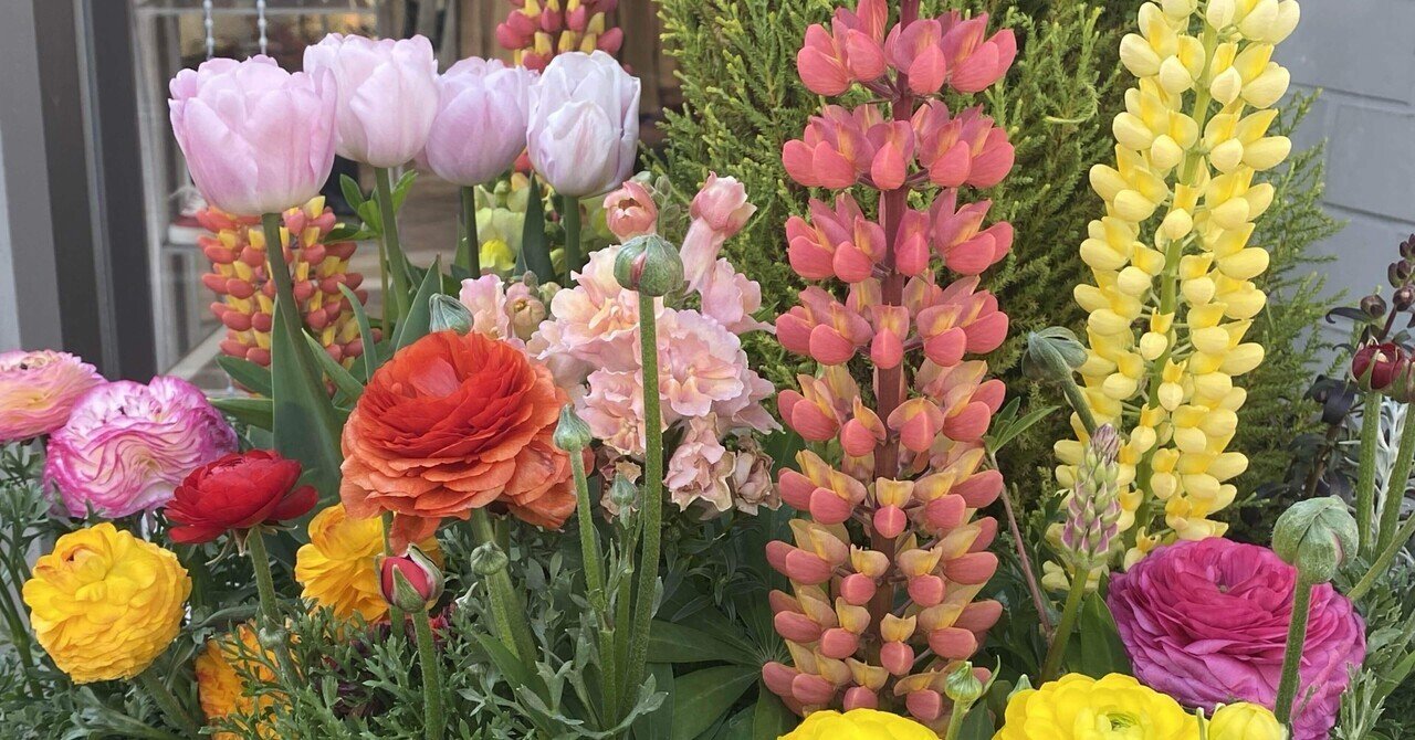 日記25.5.8 自分で世界狭めてない？｜sayo