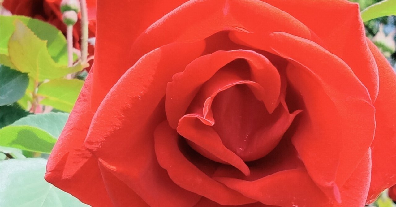 Me and My Angel 説｜Nami with Bashar