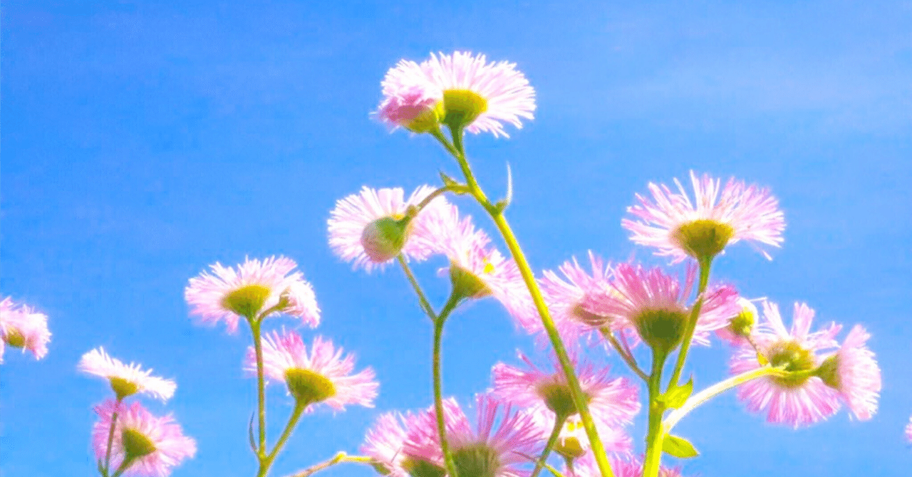 はじめまして。〜セルフドローセラピーへ、ようこそ〜｜La luce qui