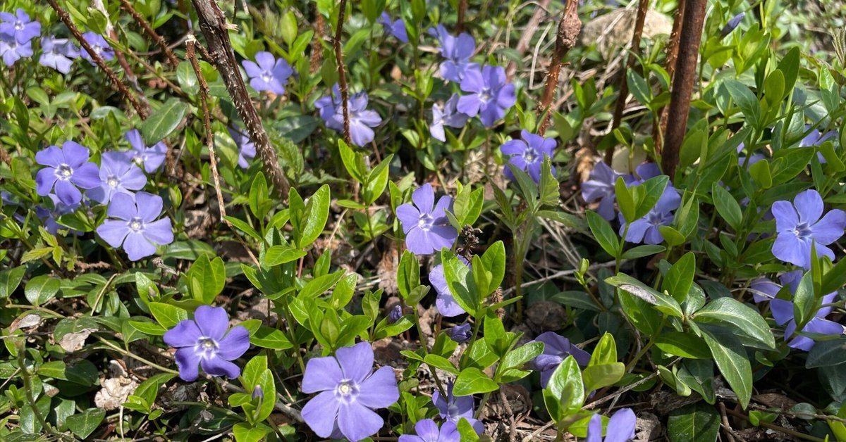 テクノファシズム｜Aya Watanabe