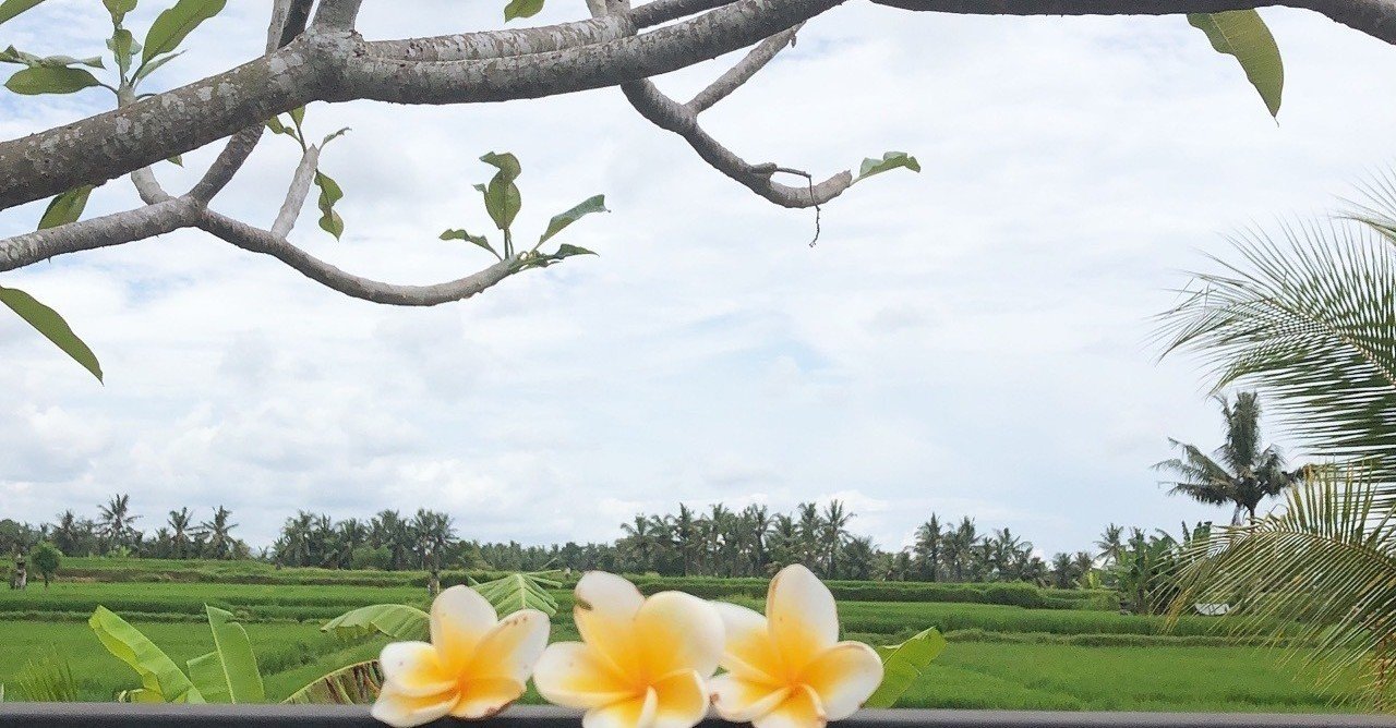 ママを取り巻く環境と性格、わたしの場合の例｜swimmy_y