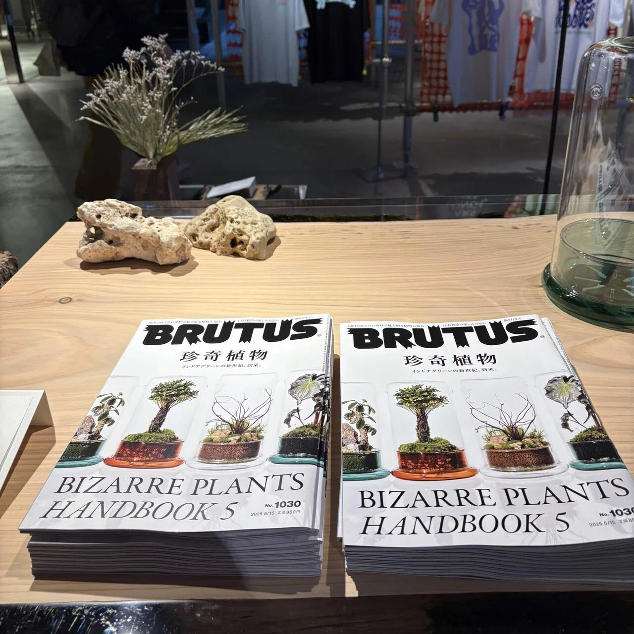 『今日のしゃぼドライブ、表参道GYRE内にあるHAY TOKYO』 BRUTUS(2025年5月15日号）にちなんだ展示に(^^)特集珍奇植物 ...