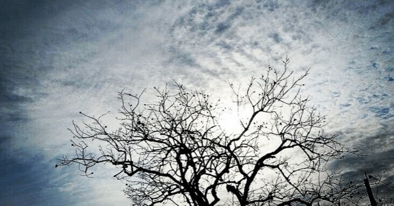 「休息」の初動は意識を向けることから｜Makoto Shirasu