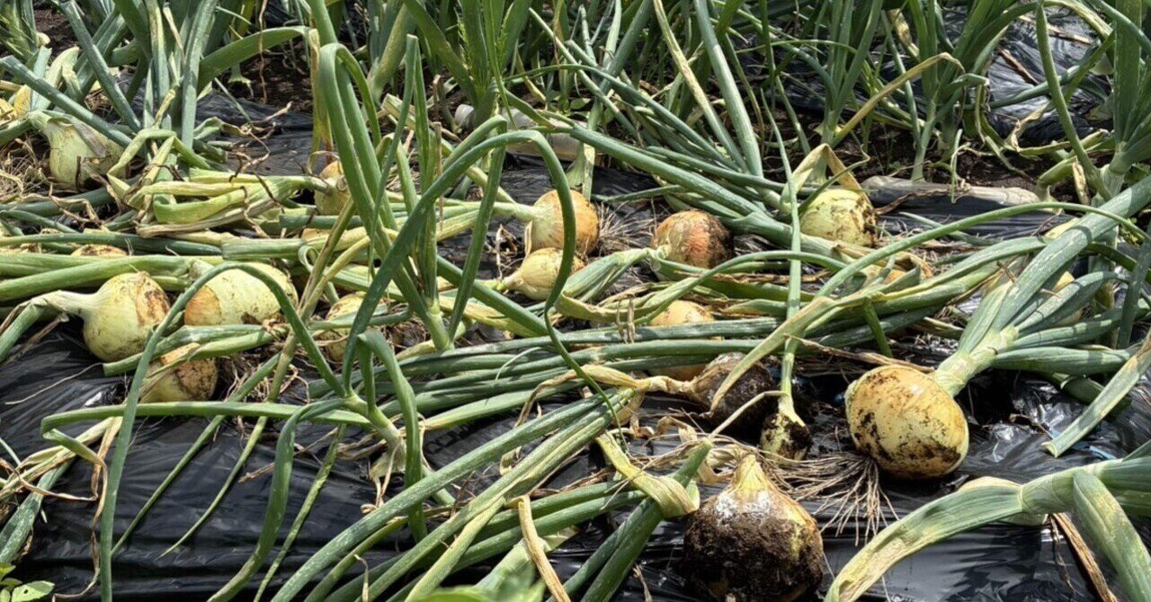 定年退職まで残り82日の男｜ zawa zawa