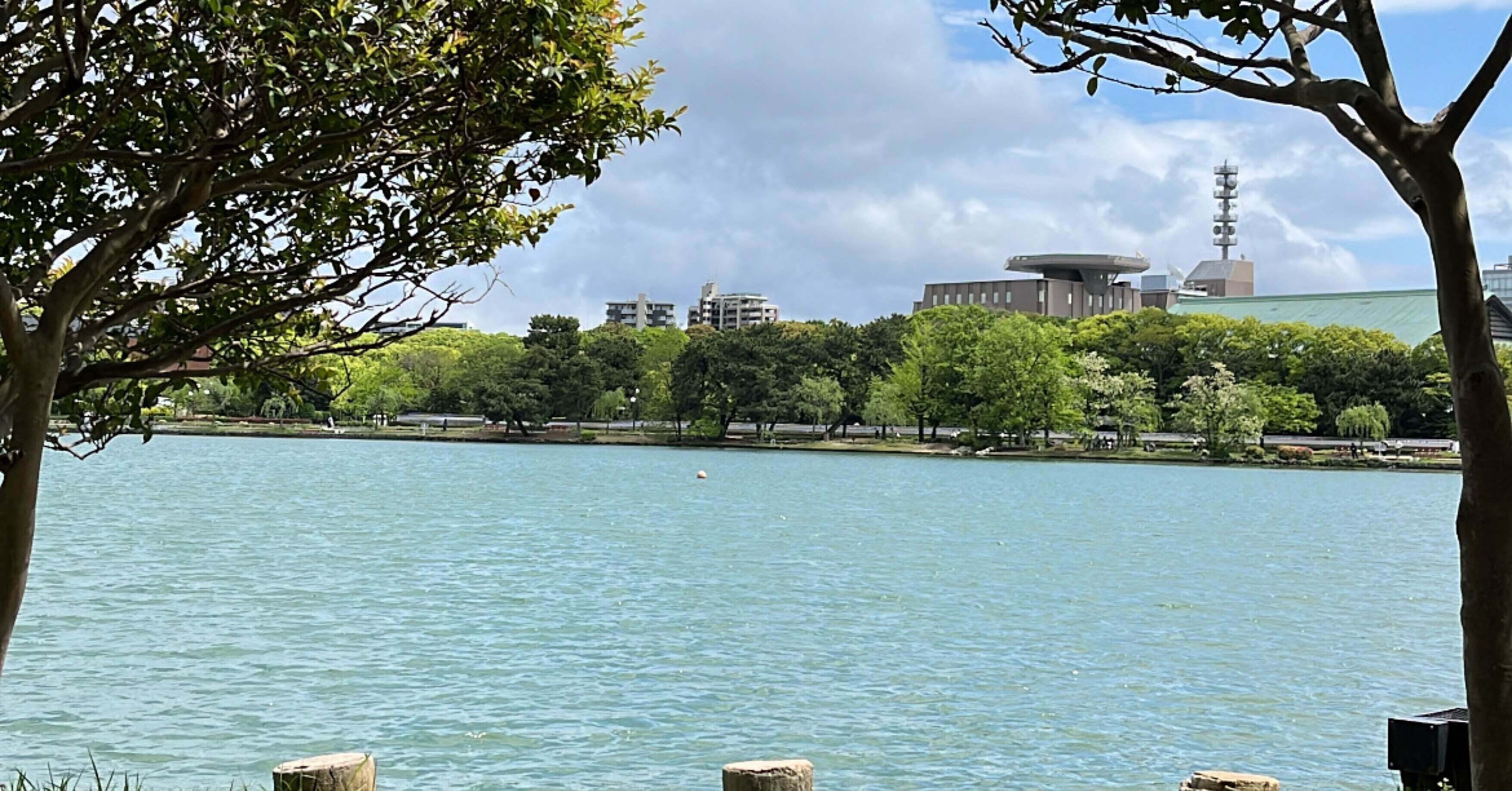 Suzuka/すずか🍃｜note