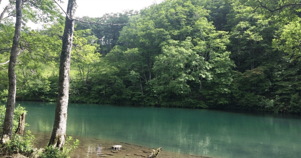 旅行中の奇跡｜Tetsuya Murakami