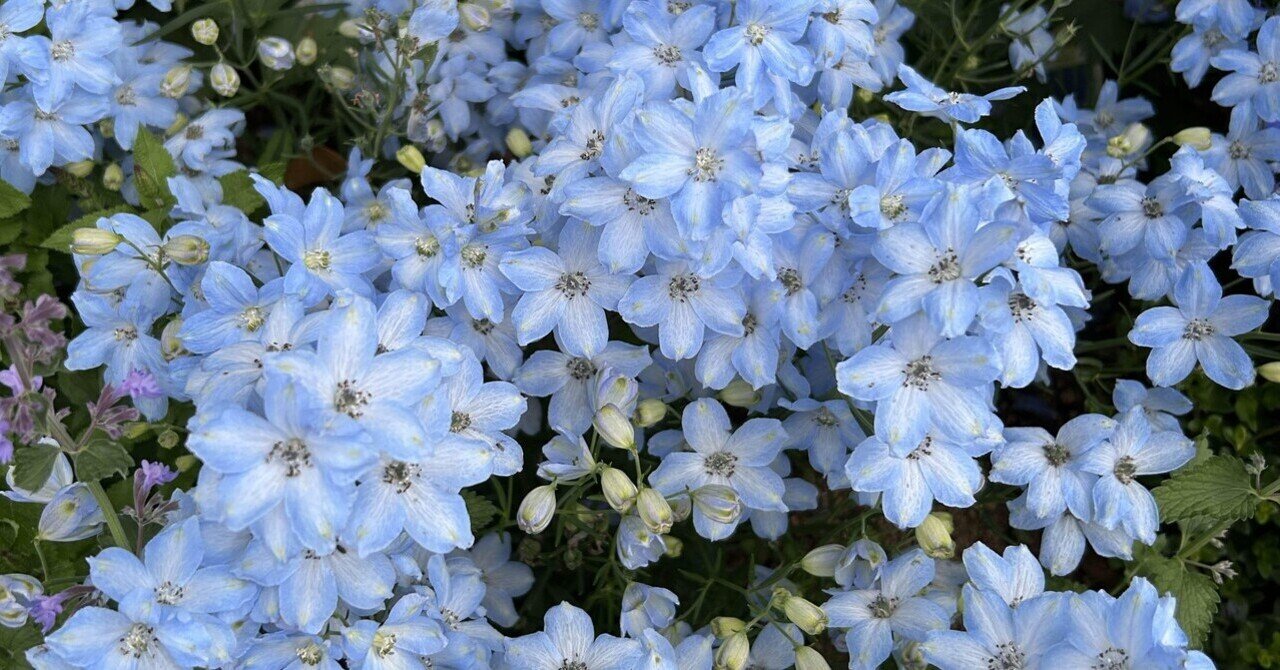 「叶える」とはできるだけ多くの人にお主の想いをことばで伝えるということじゃ🐉｜Hakuto Eiko