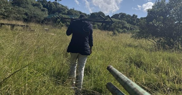 Tatsuki Inoue ｜note