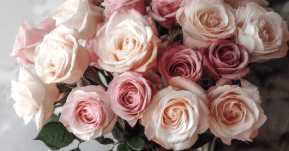 【React_26】React Hook Formとは？｜フロントエンドの人