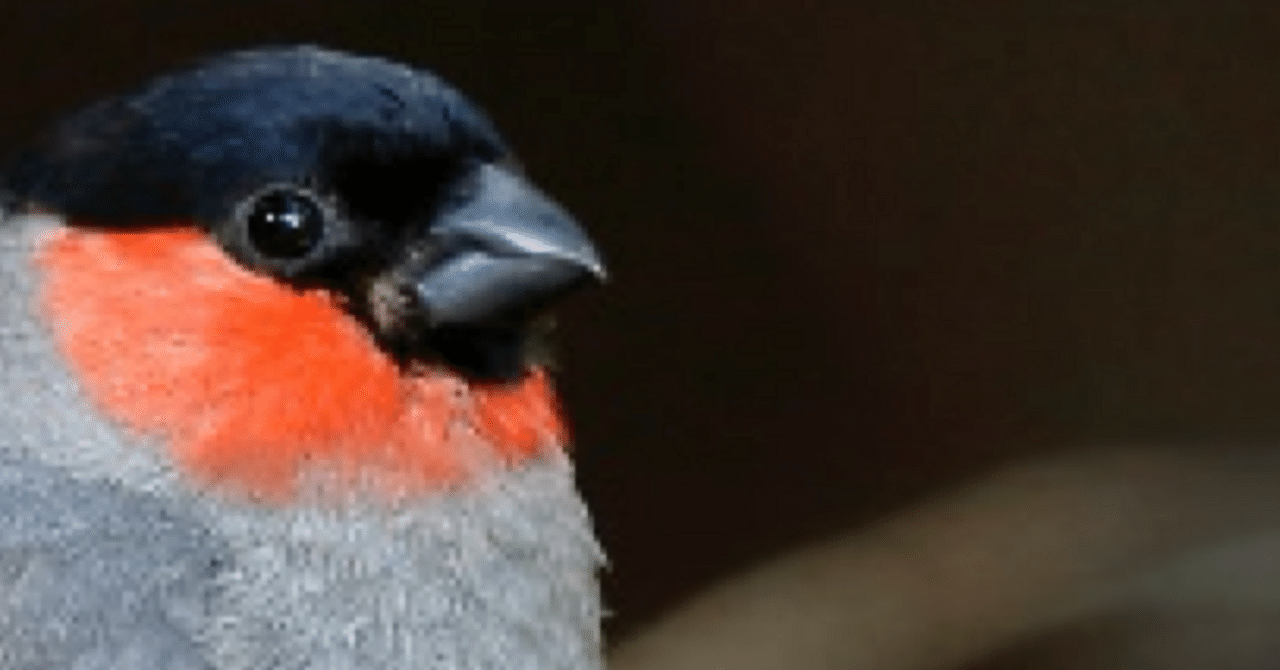 我、サブリミナる｜ichi_saku